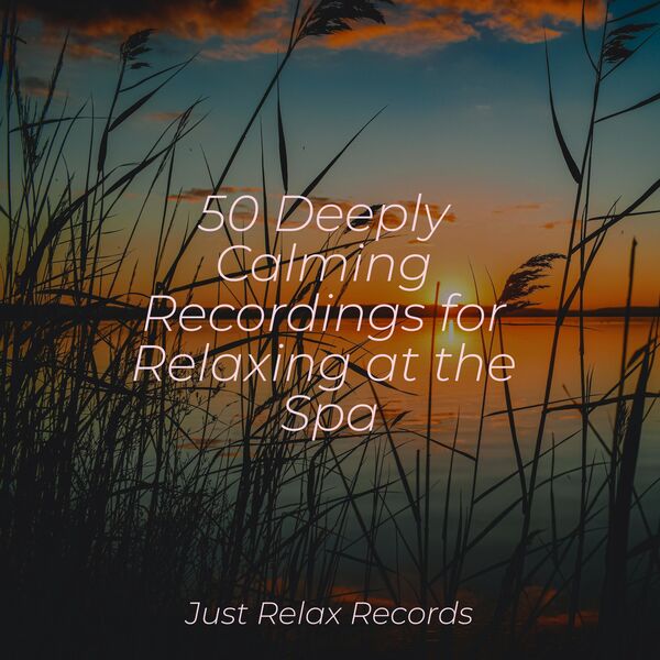 50 Deeply Calming Recordings For Relaxing At The Spa Sonido Del Bosque