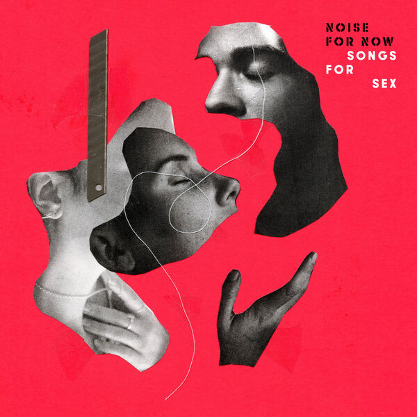 Songs For Sex Noise For Now Qobuz