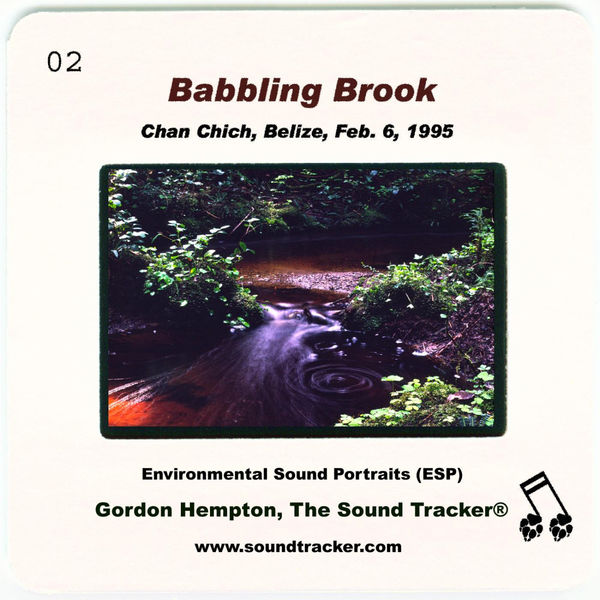 Babbling Brook, Gordon Hempton - Qobuz
