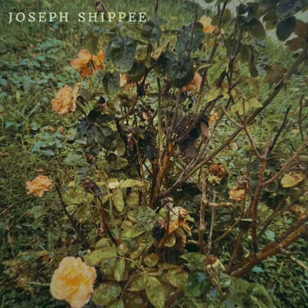 Threnody For Iryna Zarutska, Joseph Shippee - Qobuz