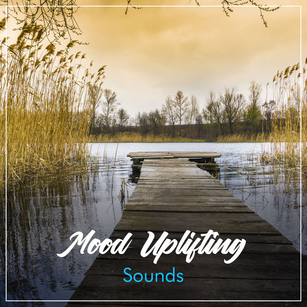 Álbum #15 Mood Uplifting Sounds for a Peaceful Sleep, The Sleep Helpers ...