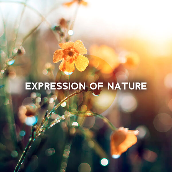 Expression of Nature – Deep Relaxation for Mind, Nature Sounds Artists ...