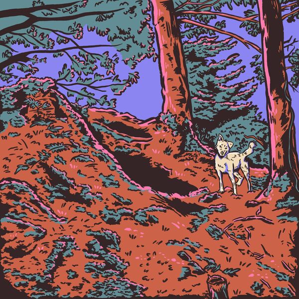 Marrowbone Lane (2025 Remaster), Chewie - Qobuz