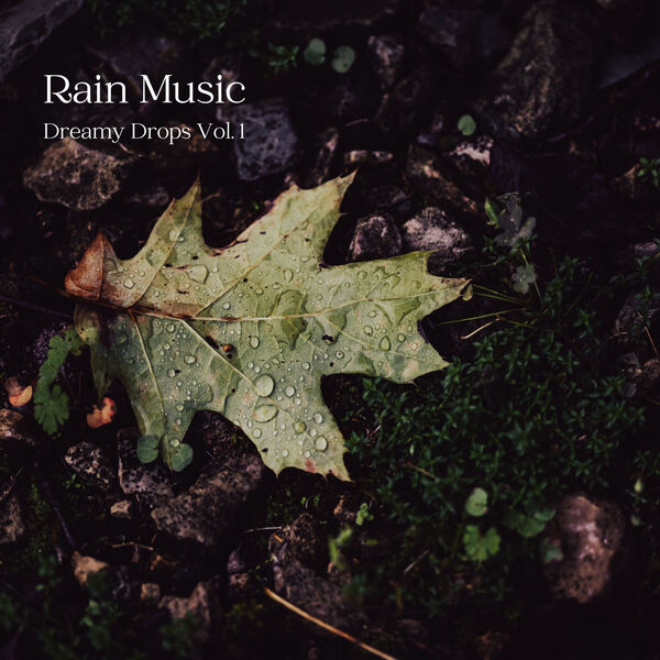 Rain Music: Dreamy Drops Vol. 1, Sleep Music Dreams - Qobuz