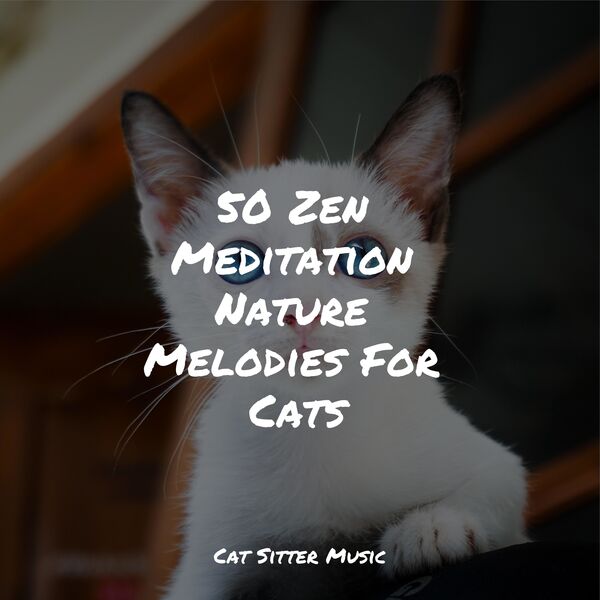 50 Zen Meditation Nature Melodies For Cats, Music for Cats TA - Qobuz