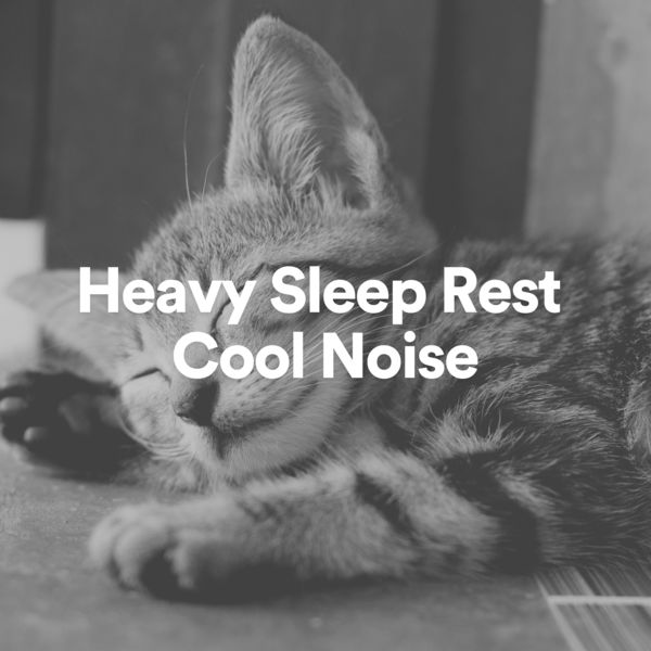 Heavy Sleep Rest Cool Noise, Relaxing Cabin Noise - Qobuz