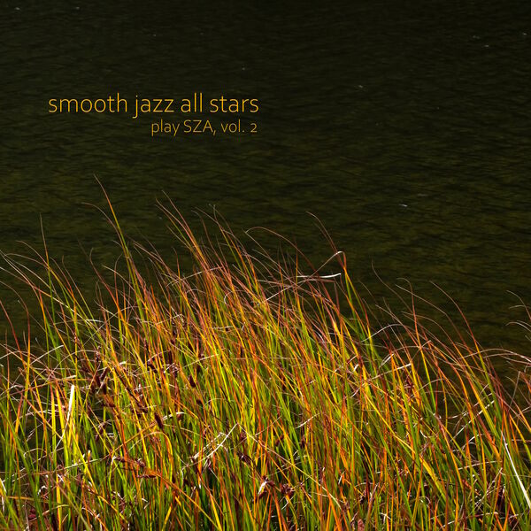 Smooth Jazz All Stars Play SZA, Vol. 2 (Instrumental), Smooth Jazz All Stars - Qobuz