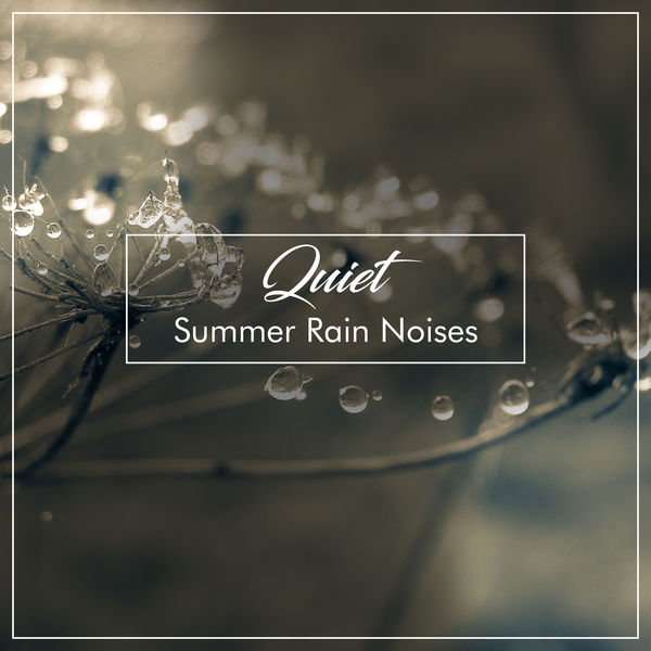 #12 Quiet Summer Rain Noises, Sounds Of Nature : Thunderstorm, Rain ...