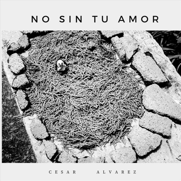 No Sin Tu Amor, César Alvarez - Qobuz