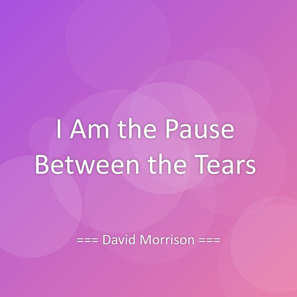 I Am the Pause Between the Tears, David Morrison - Qobuz