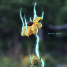 How It Feels, Blanke - Qobuz