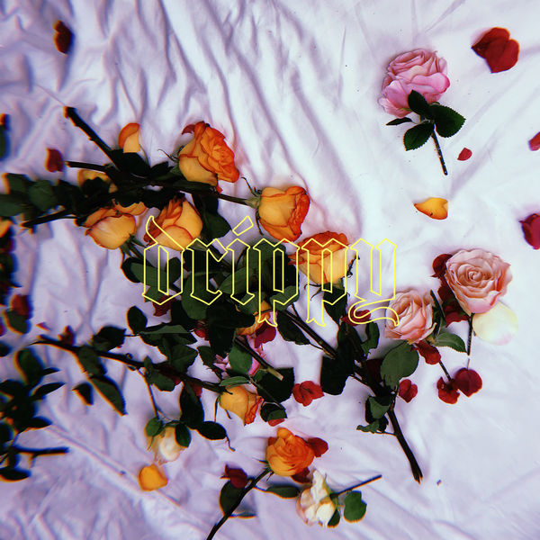 Drippy, IAMDDB - Qobuz