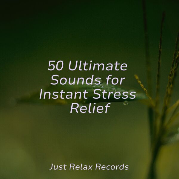 50 Ultimate Sounds for Instant Stress Relief, Preschool Kids - Qobuz