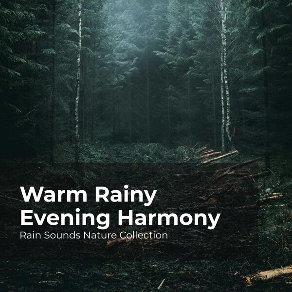 Warm Rainy Evening Harmony, Rain Sounds Nature Collection - Qobuz