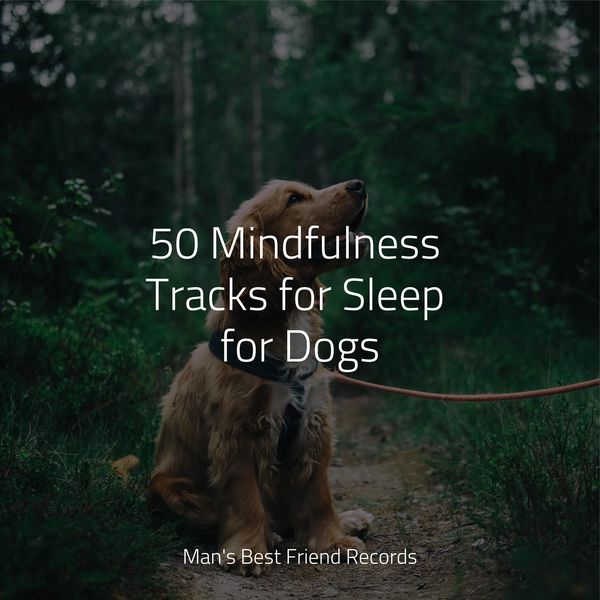 50 Mindfulness Tracks for Sleep for Dogs, Official Pet Care Collection ...