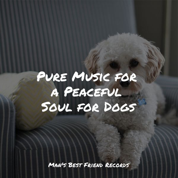 Pure Music for a Peaceful Soul for Dogs, Pet Care Music Therapy - Qobuz