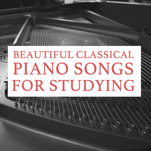 14 Beautiful Classical Piano Songs for Studying, Piano Pianissimo, Exam Study Classical Music ...