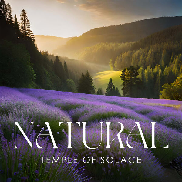 Natural Temple of Solace: Let Your Negative Thoughts Go, Give Yourself ...