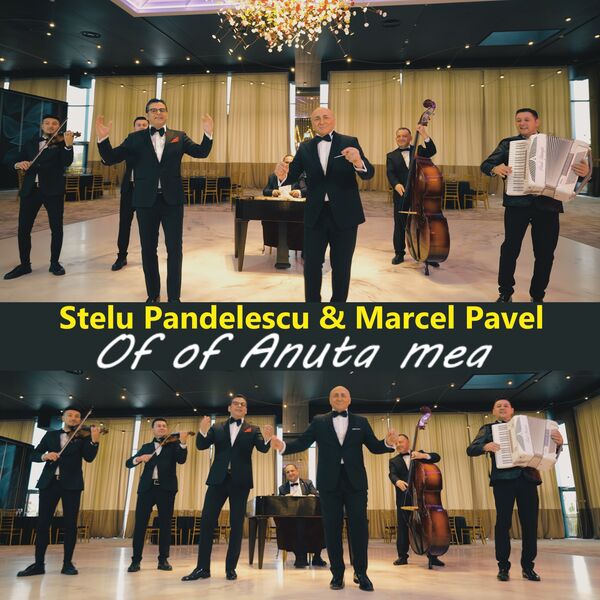 Of of Anuta mea, Stelu Pandelescu - Qobuz