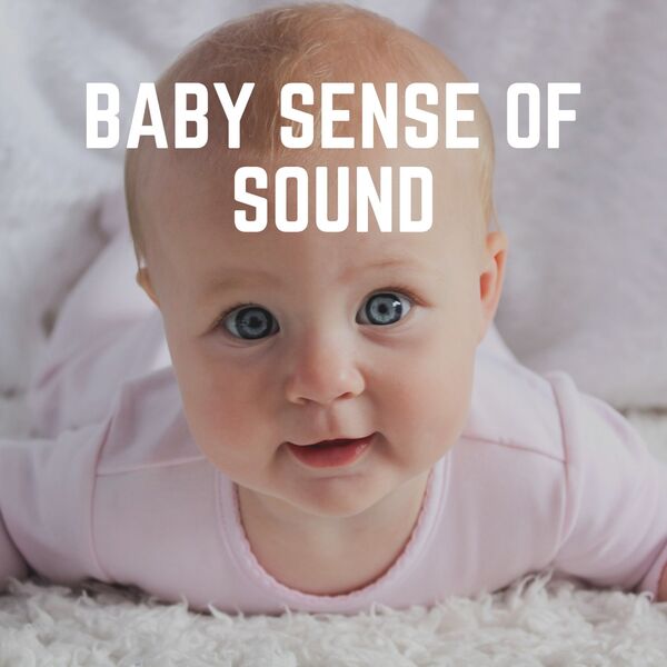 Baby Sense of Sound, Humpty Dumpty Kids - Qobuz