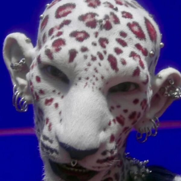 cartridge sd (pull up on you), ansho - Qobuz