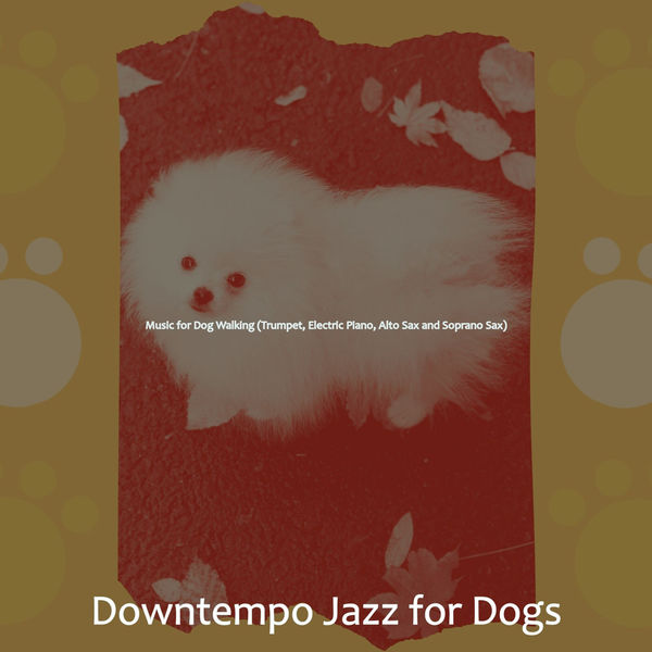 Music for Dog Walking (Trumpet, Electric Piano, Alto Sax and Soprano ...