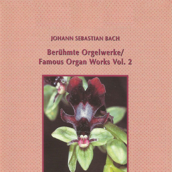 Johann Sebastian Bach - Famous Organ Works, Johann Sebastian Bach por Johann Sebastian Bach - Qobuz