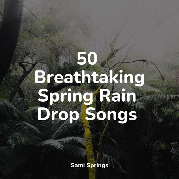 50 Breathtaking Spring Rain Drop Songs, Natural Samples - Qobuz
