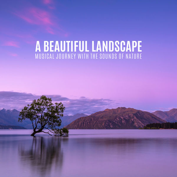 A Beautiful Landscape. Musical Journey with the Sounds of Nature (Calm ...