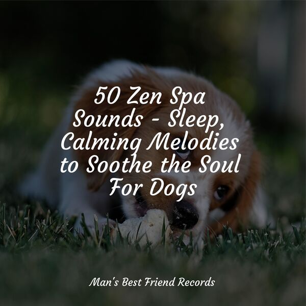 50 Zen Spa Sounds - Sleep, Calming Melodies to Soothe the Soul For Dogs ...