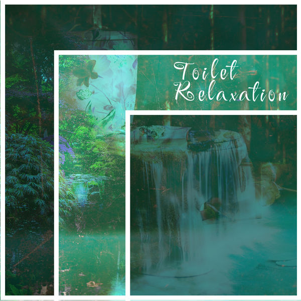 Toilet Relaxation: Peaceful Atmosphere, Constipation Therapy, Relief on ...