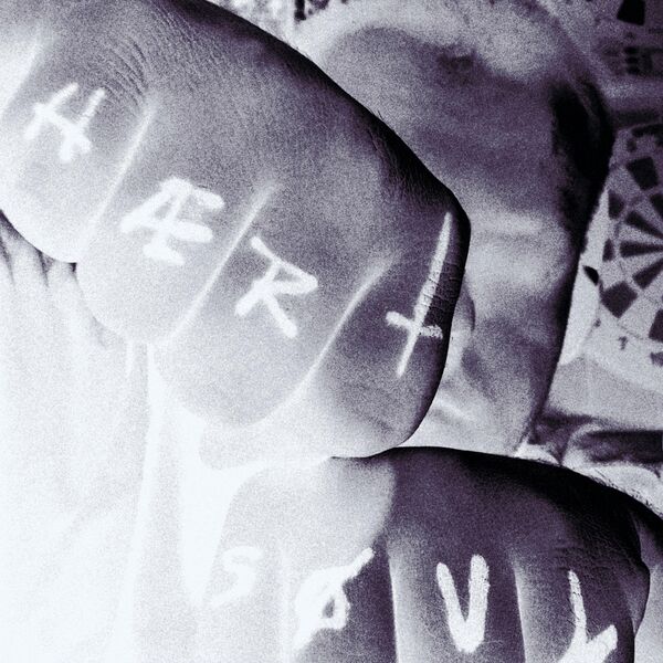 Taylor Lautner (P.O.V. Freestyle) (feat. 4:22), Ziploc Zenith - Qobuz