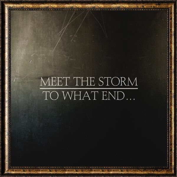 To What End..., Meet the Storm - Qobuz