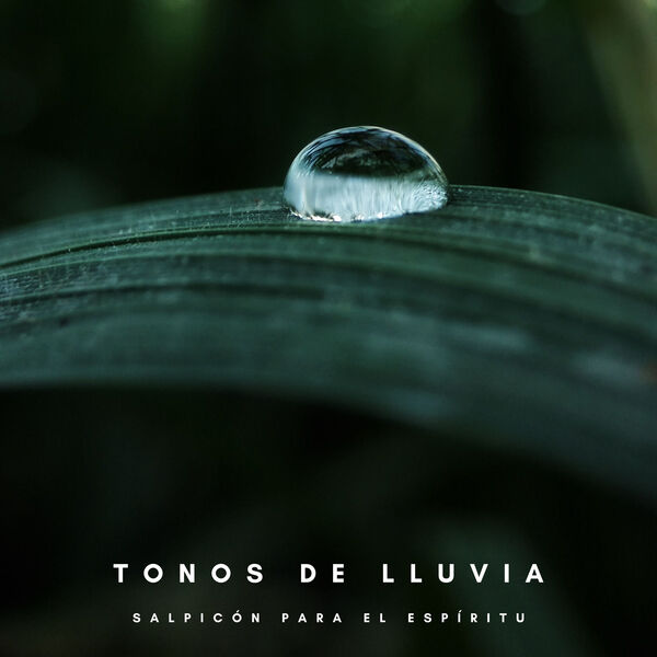 Tonos De Lluvia: Salpicón Para El Espíritu, Lluvia Para Dormir Mejor ...