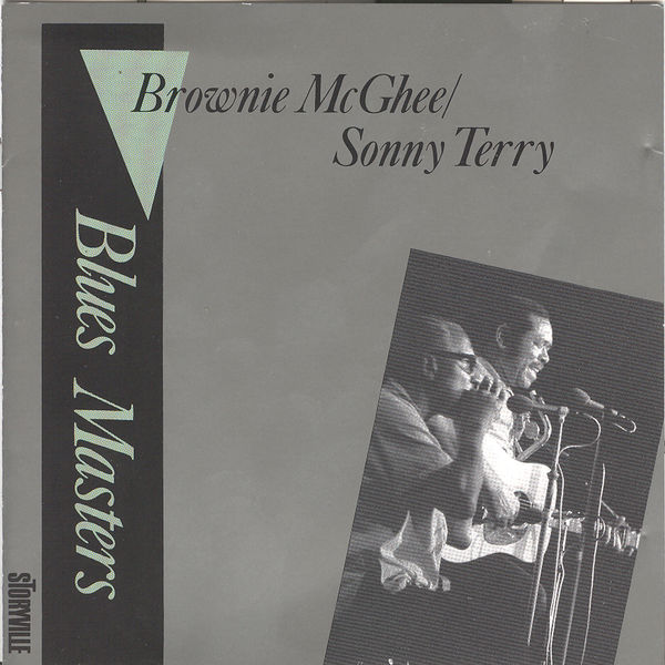 Blues Masters Vol. 5, Sonny Terry - Qobuz