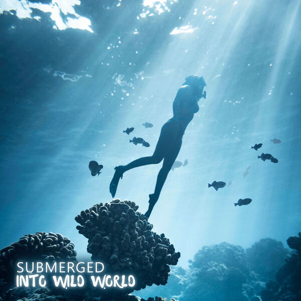 Submerged Into Wild World: Underwater Life ASMR, Beautiful Magical Music Collection - Qobuz