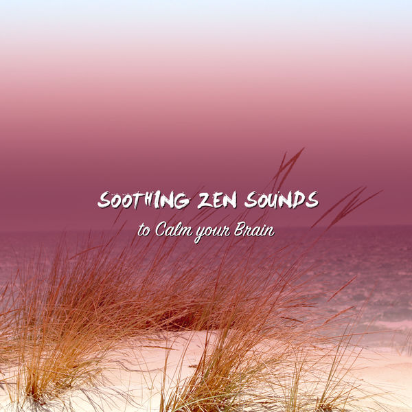 Album 17 Soothing Zen Sounds to Calm your Brain, white noise meditation ...