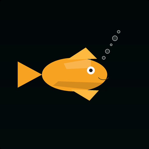 Fish in the Sea, Adam Mccullough - Qobuz