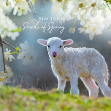 Sounds of Spring, Tim Janis - Qobuz