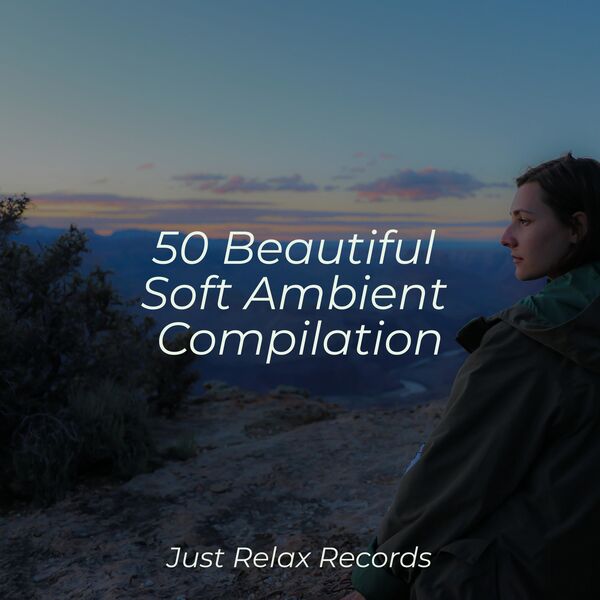 50 Beautiful Soft Ambient Compilation, Mantra para Meditar - Qobuz
