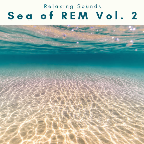 Sea of REM Vol. 2 (feat. Waveseekers, Ocean Currents & Ocean Currents ...