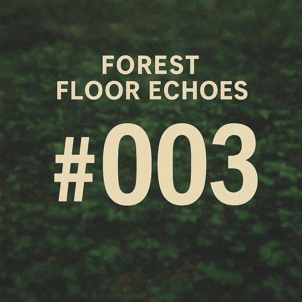 Forest Floor Echoes – #003, Eternal Fluidity - Qobuz