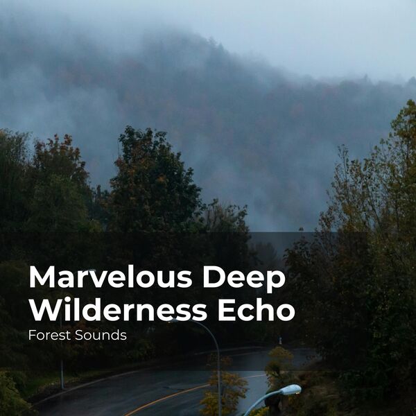Marvelous Deep Wilderness Echo, Forest Sounds - Qobuz