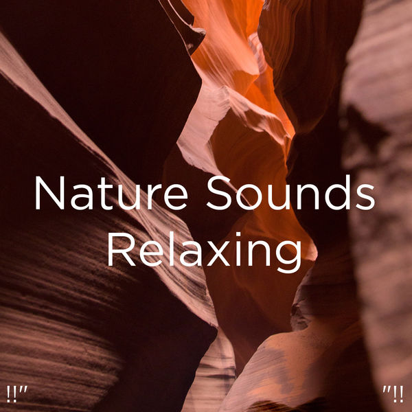 Nature Sounds Relaxing "!!, Nature Sounds Nature Music - Qobuz