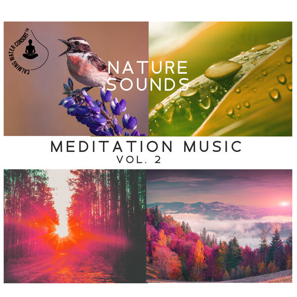 Nature Sounds Meditation Music Vol. 2: Calming Water and Singing Birds ...