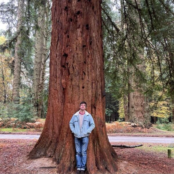 Cut the rope!, Sonny Siminski - Qobuz