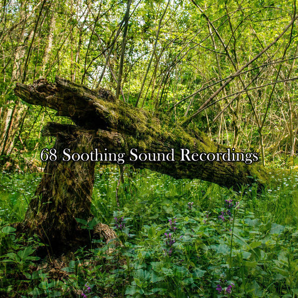 68 Soothing Sound Recordings, Best Relaxing Spa Music - Qobuz