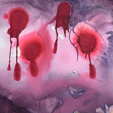 Dramamine / Fragility, flawed mangoes - Qobuz