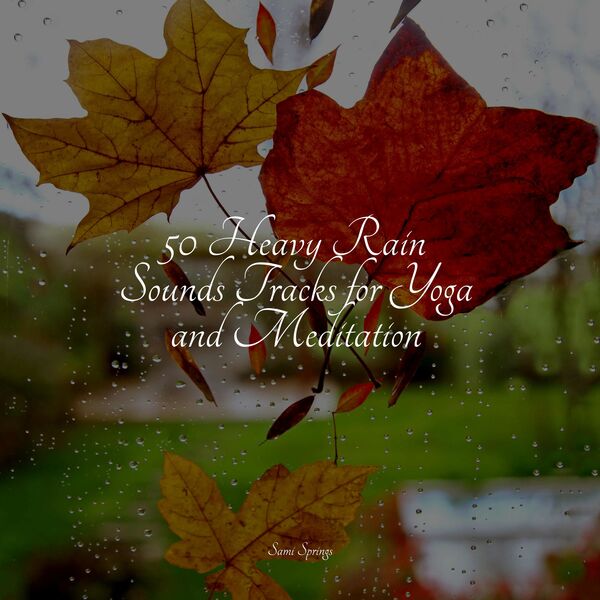 50 Heavy Rain Sounds Tracks For Yoga And Meditation The Relaxation