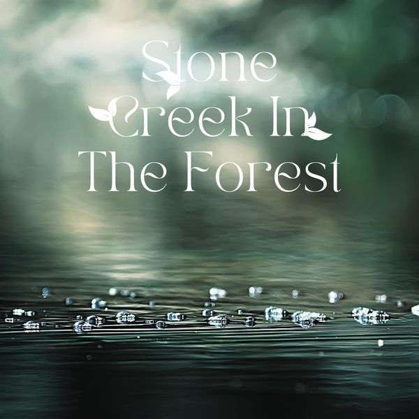 Stone Creek In The Forest, Sleep Factory - Qobuz
